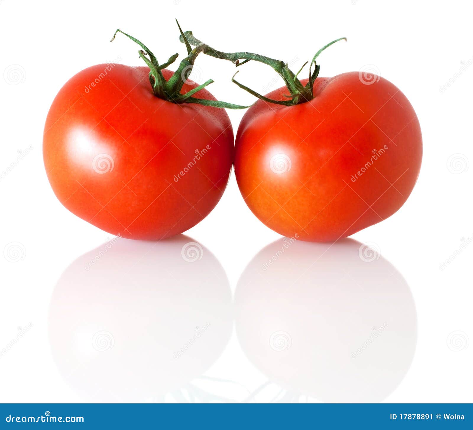 Two tomatoes on branch stock image. Image of summer, ripe - 17878891