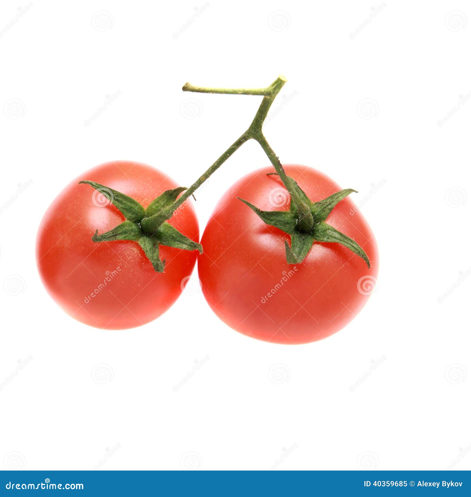 Two Tomatoes on a Branch Isolated. Stock Image - Image of cherry, ripe ...