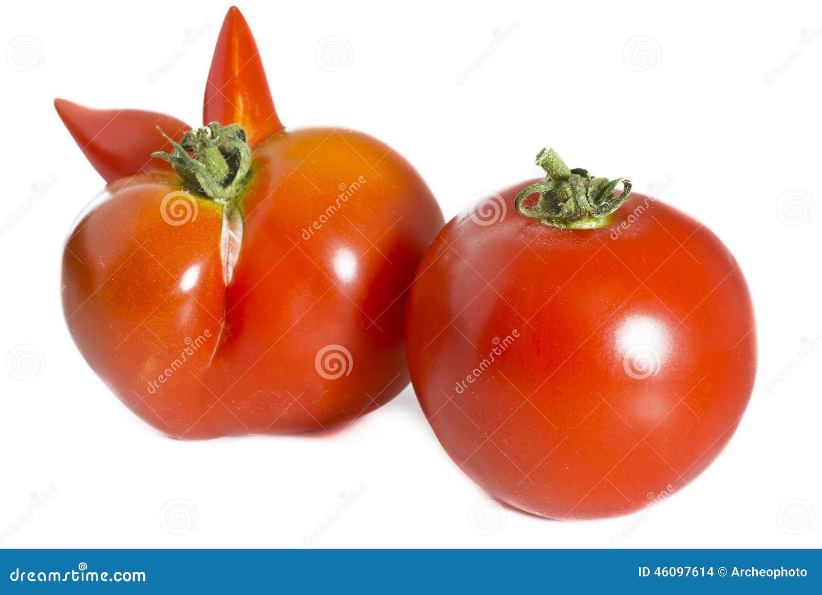 Two tomatoes stock photo. Image of vitamin, nature, cherry - 46097614