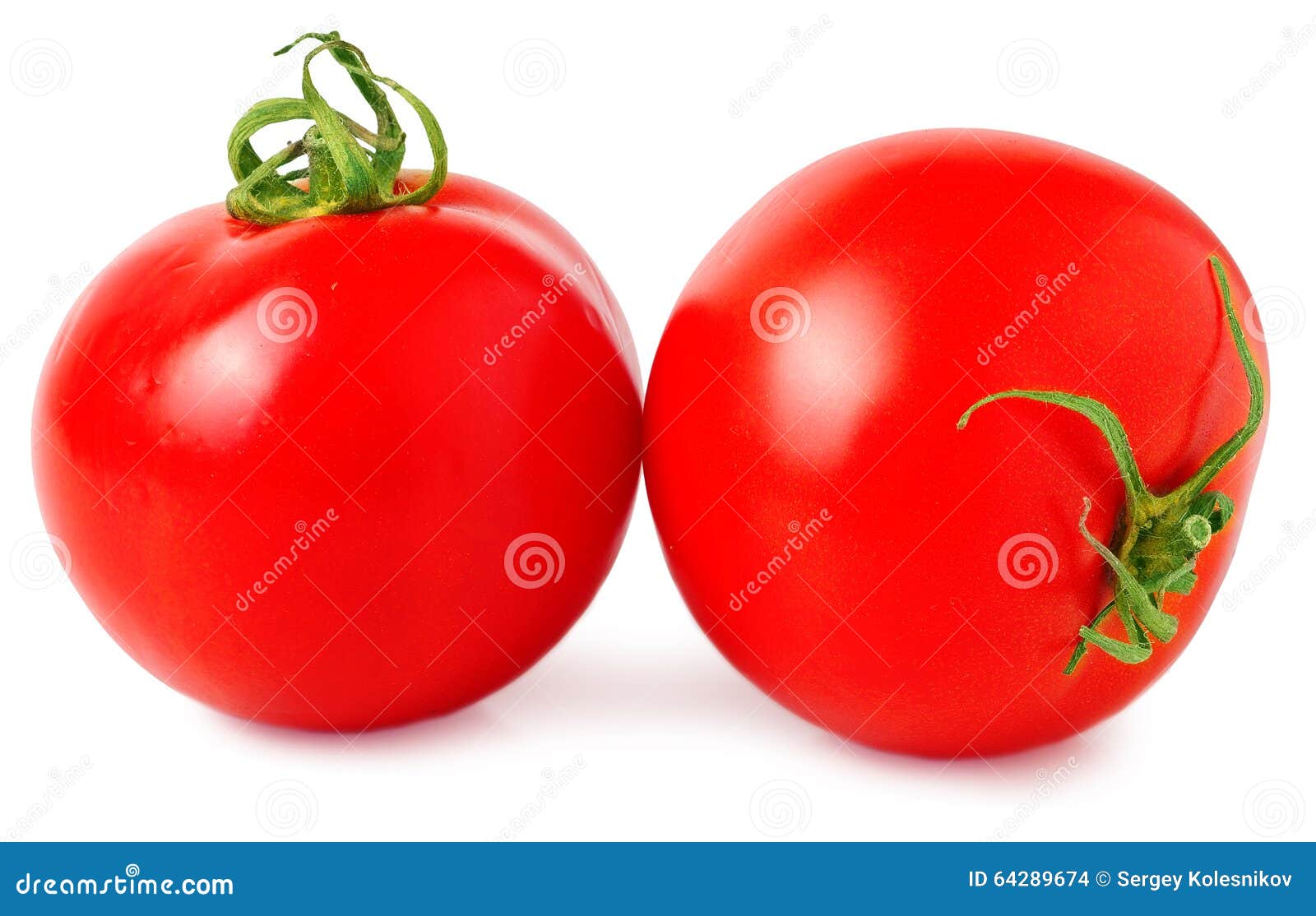 Two Tomatoes Isolated on White Background Stock Photo - Image of fresh ...