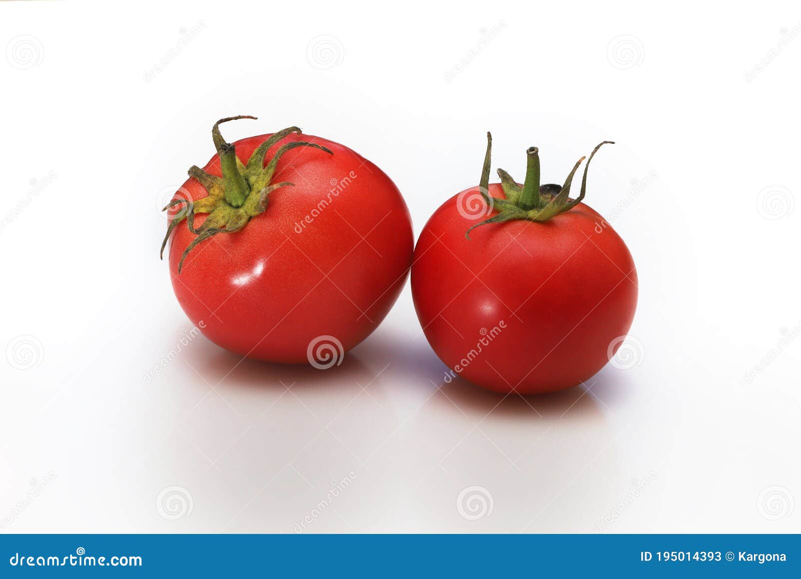 Two Tomatoes Isolated on White Stock Image - Image of vegetarian ...