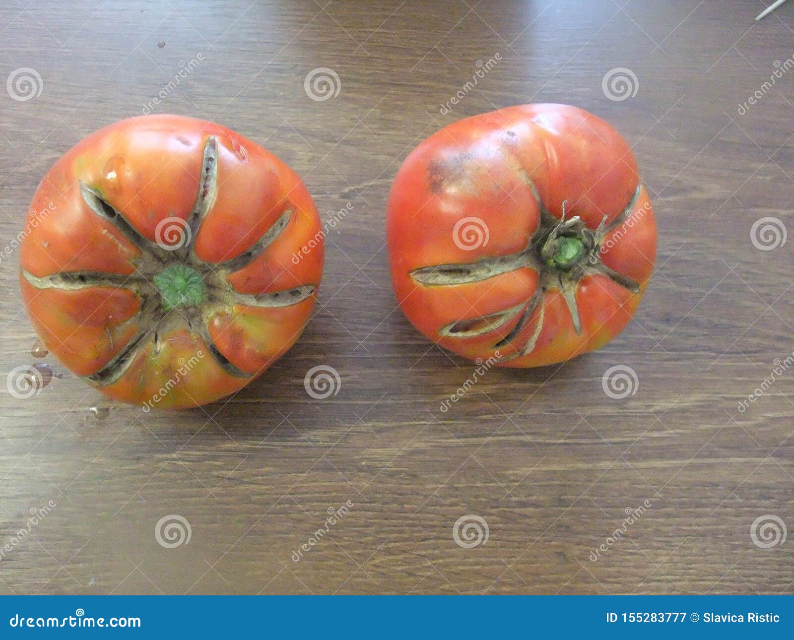 Two tomatoes stock image. Image of looking, pretty, table - 155283777