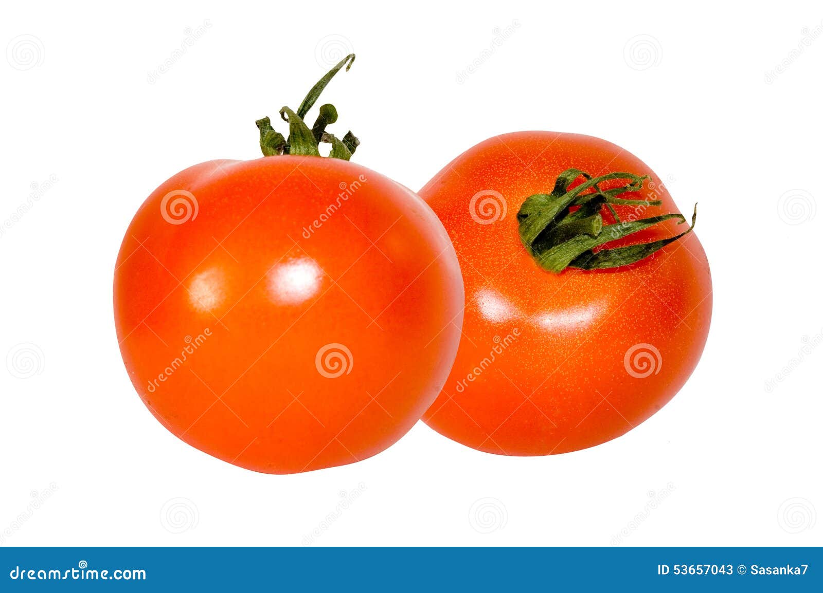 Two tomatos stock image. Image of cooking, freshness - 53657043