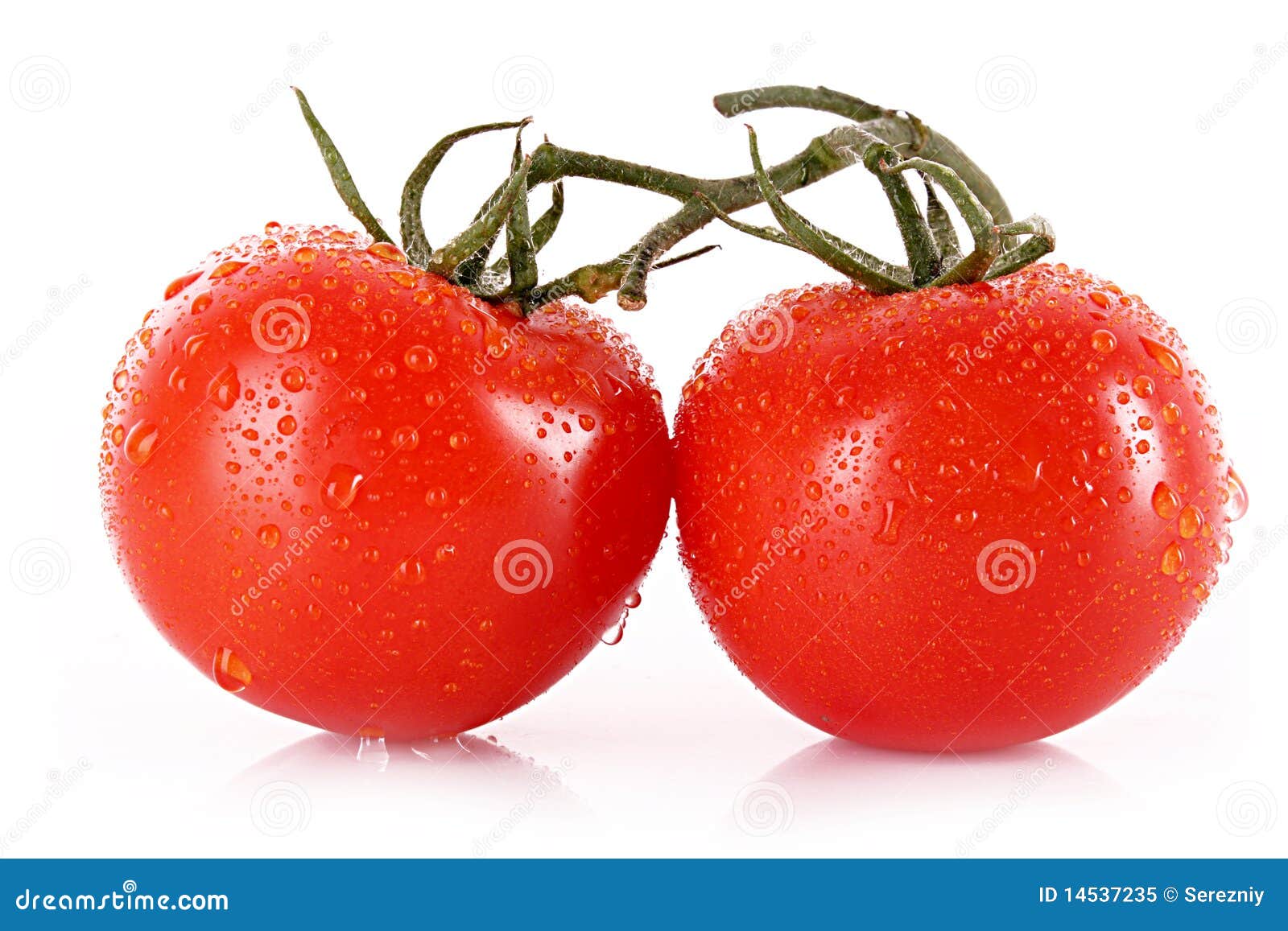 Two tomatos isolated stock image. Image of healthy, tomatoes - 14537235