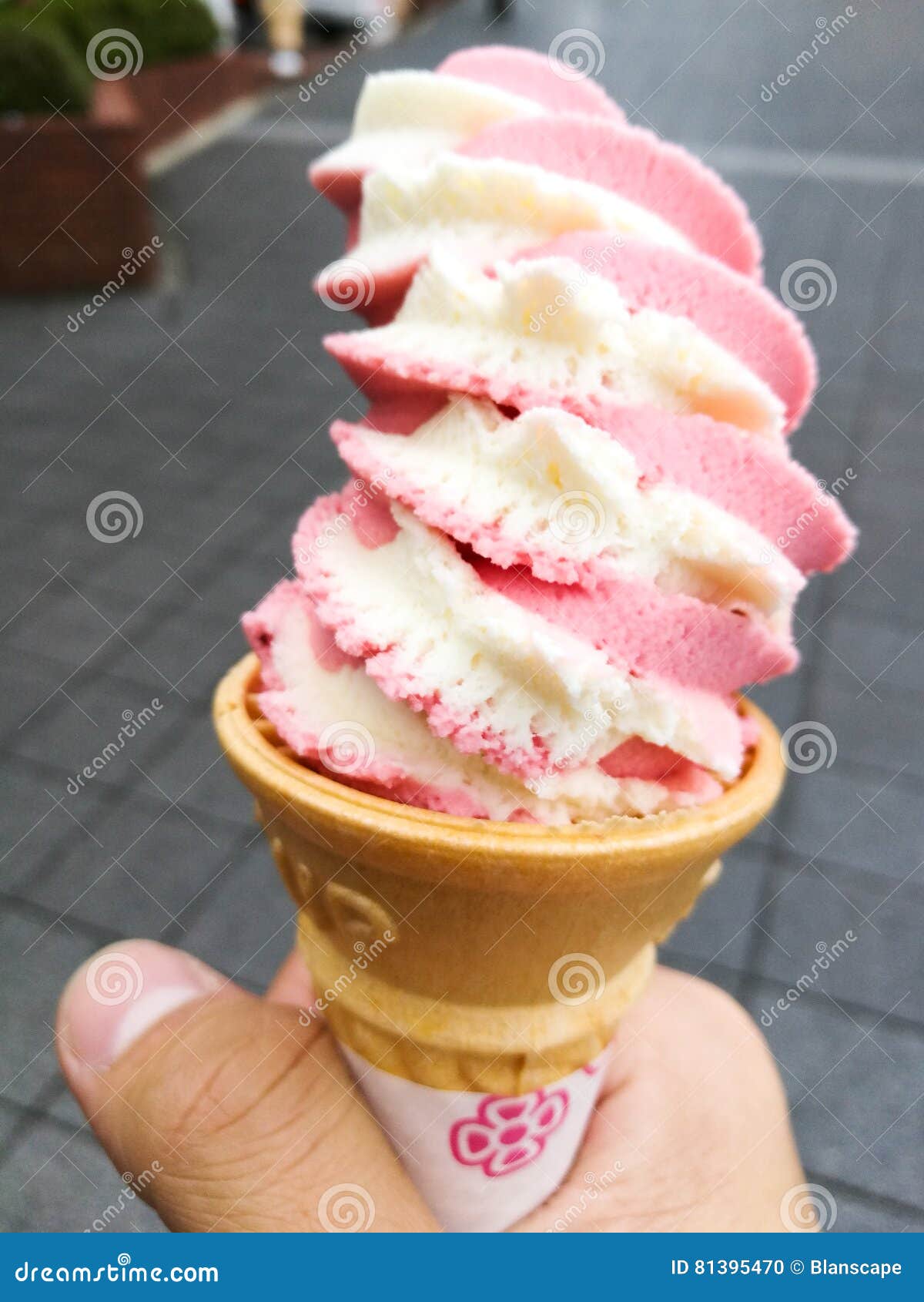 Two Tone Ice Cream, Sakura Flavour Stock Photo - Image of icecream ...