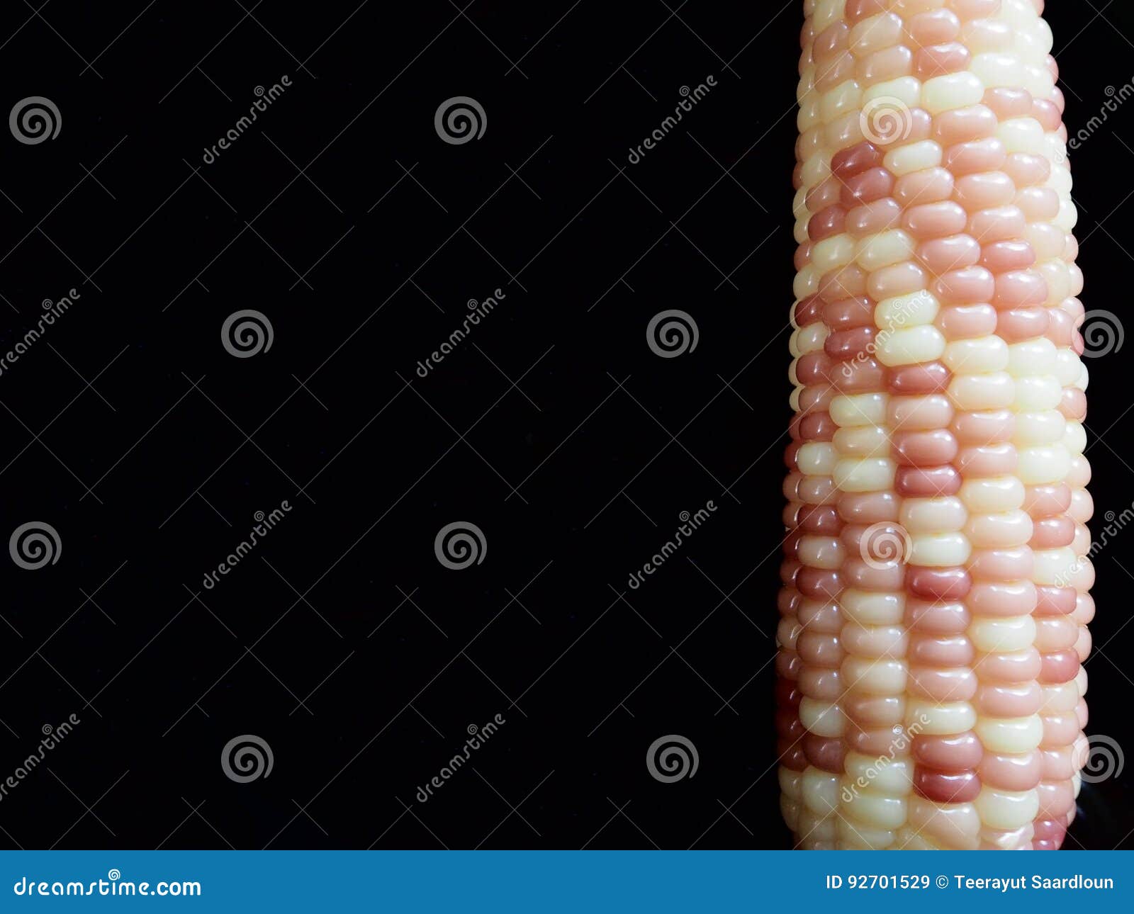 This is Two Tone Maize on Black Background Stock Image - Image of ...
