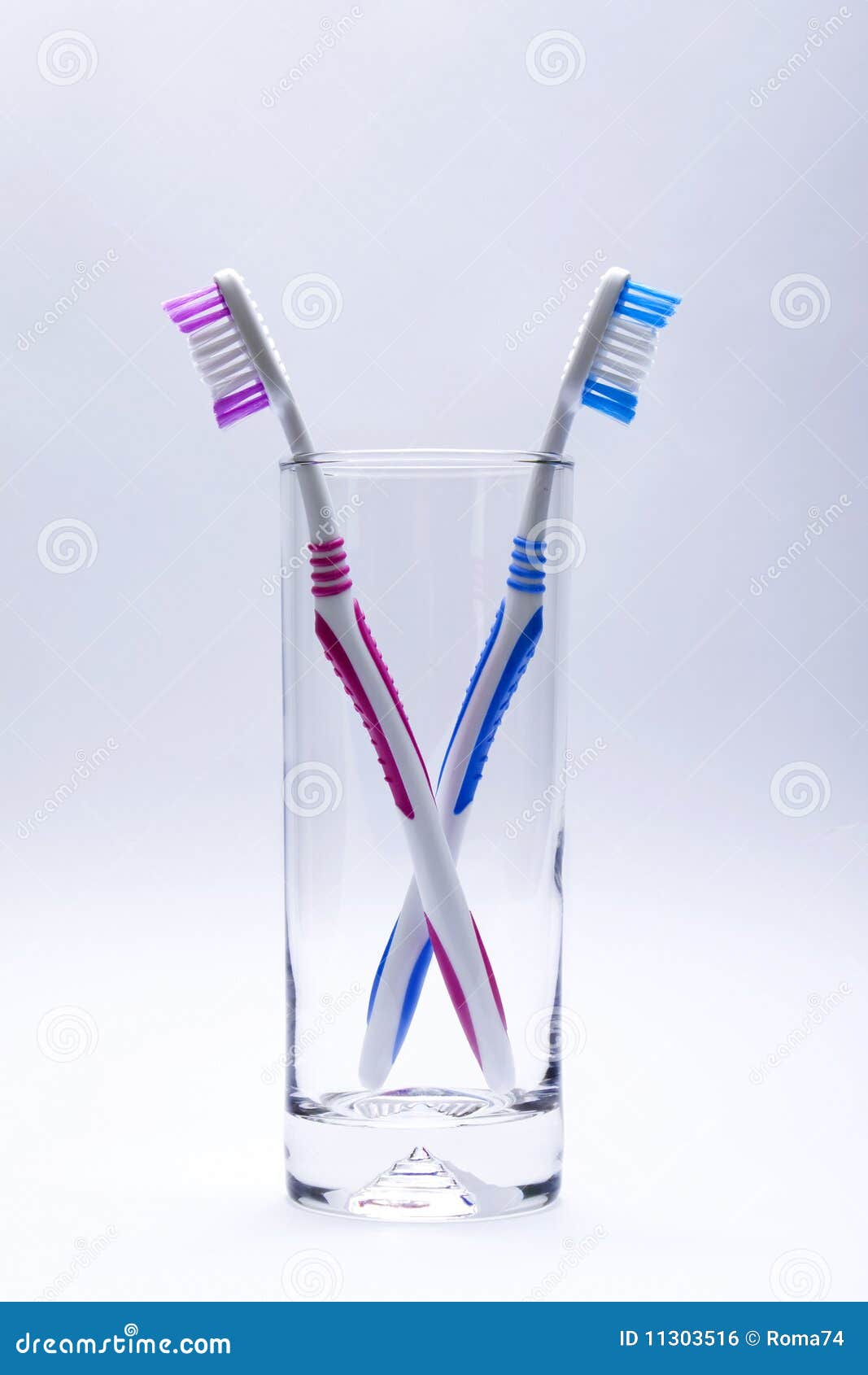 Two toothbrush stock photo. Image of germ, medical, brush - 11303516