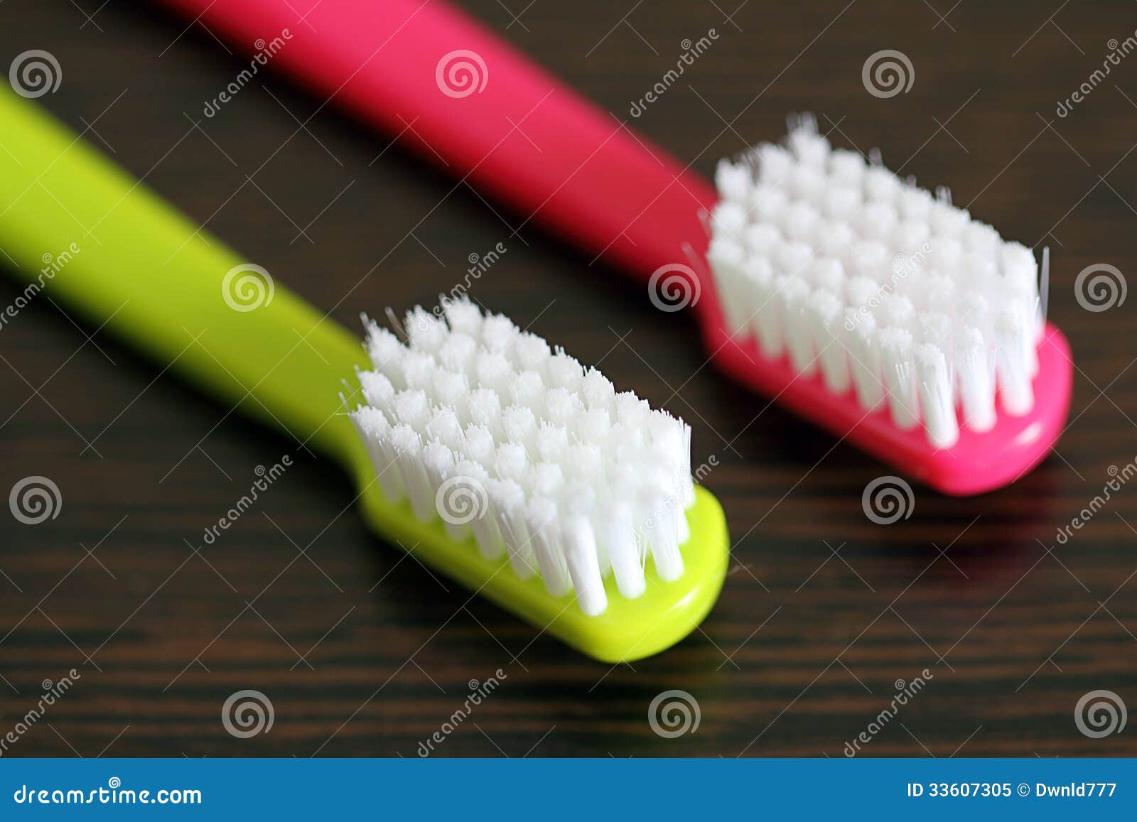 Two toothbrushes stock image. Image of female, macro - 33607305