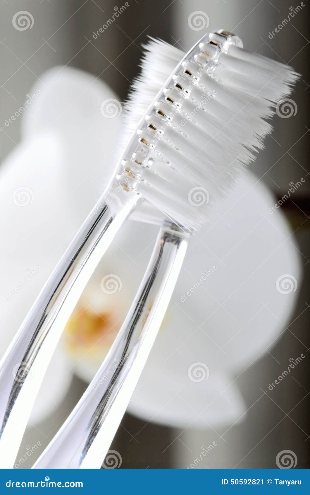 Two Toothbrushes Crossed on a Background of Flowers Orchids Stock Image ...