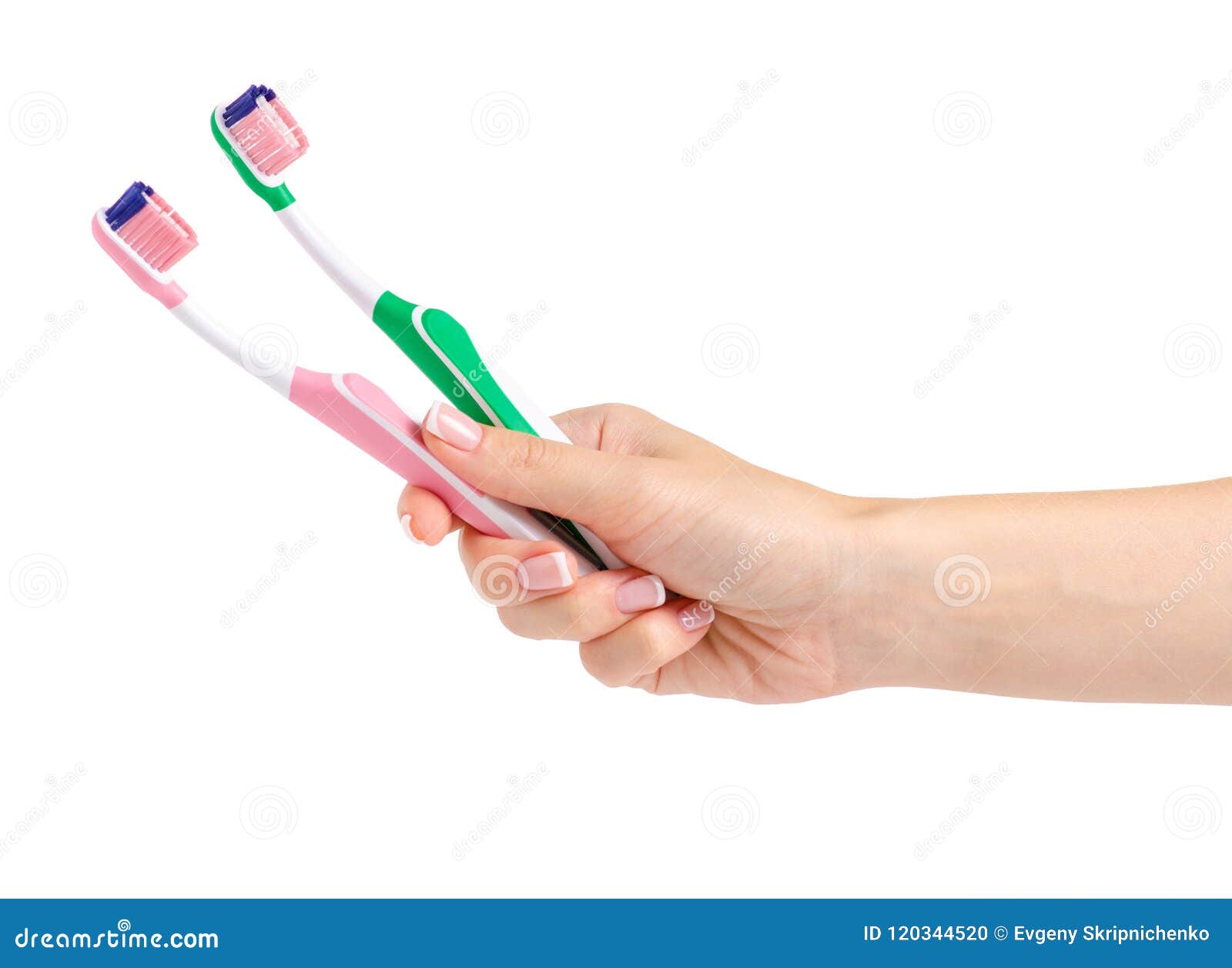Two toothbrushes in hand stock photo. Image of dentist - 120344520