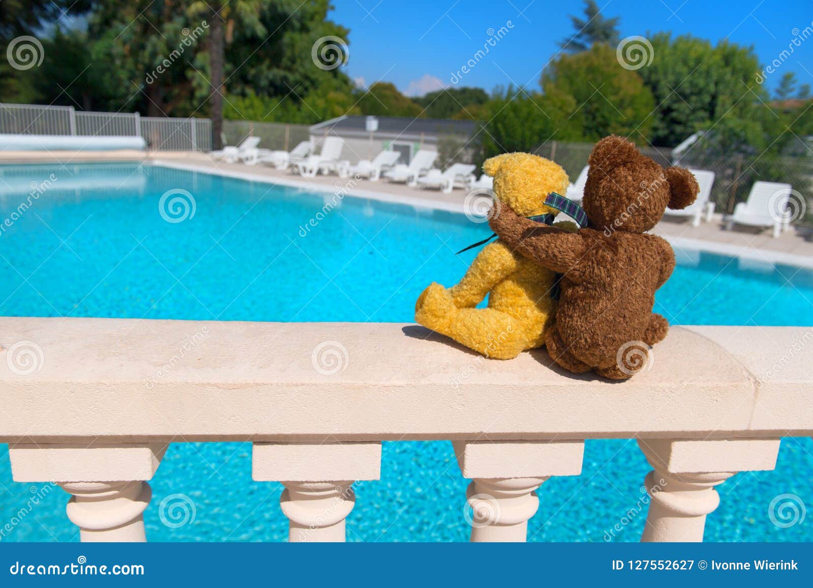 Two Toy Bears in Love at Swimming Pool Stock Image - Image of bears ...