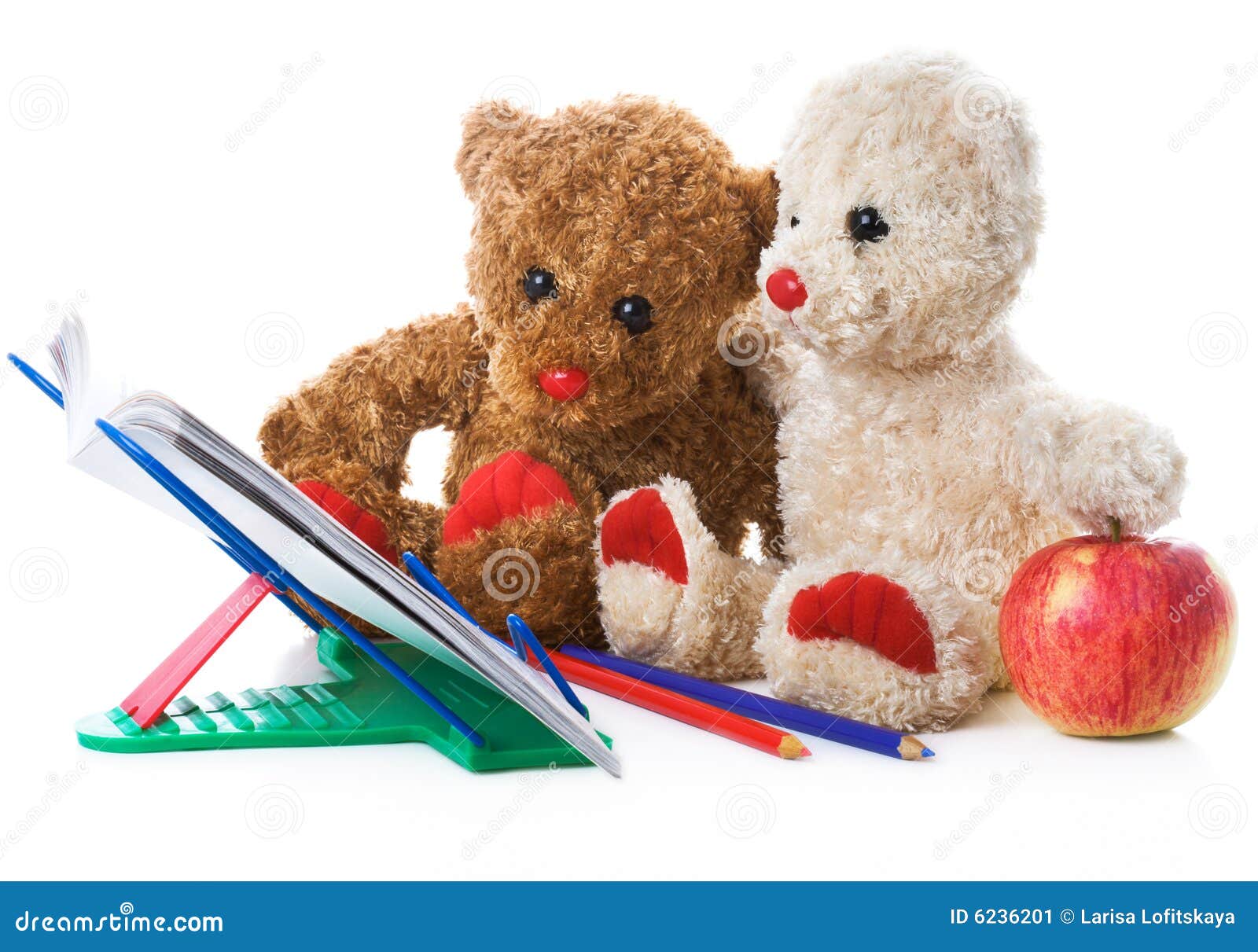 Two Toy Bears Read the Book Stock Image - Image of reading, school: 6236201