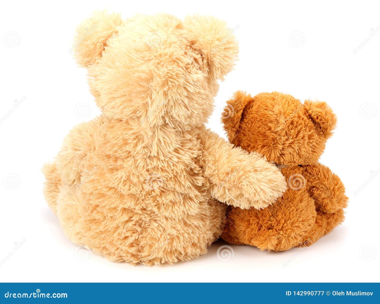 Two Toy Teddy Bears Isolated on White Background Stock Image - Image of ...