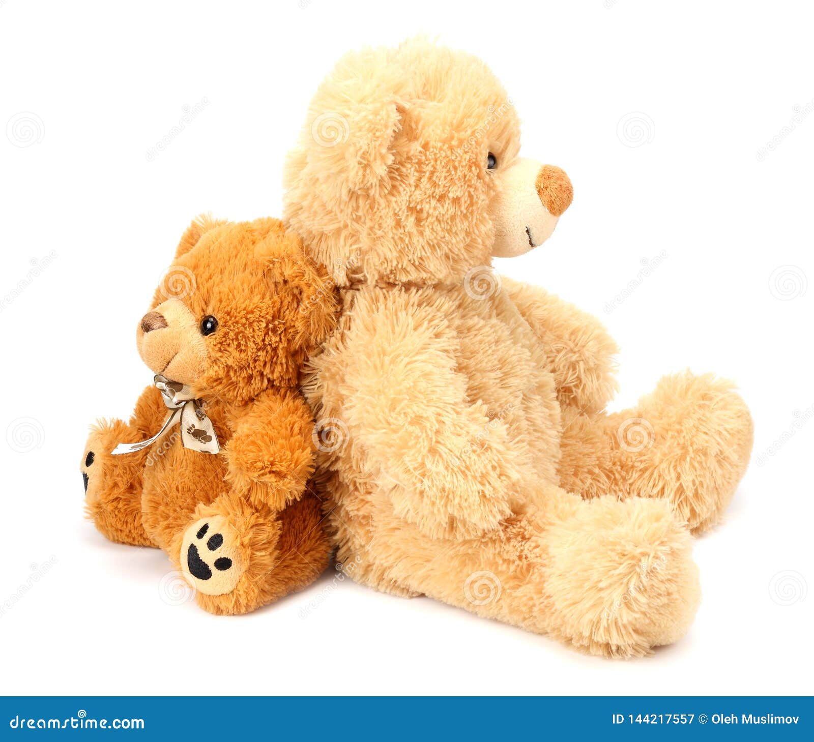 Two Toy Teddy Bears Isolated on White Background Stock Image - Image of ...