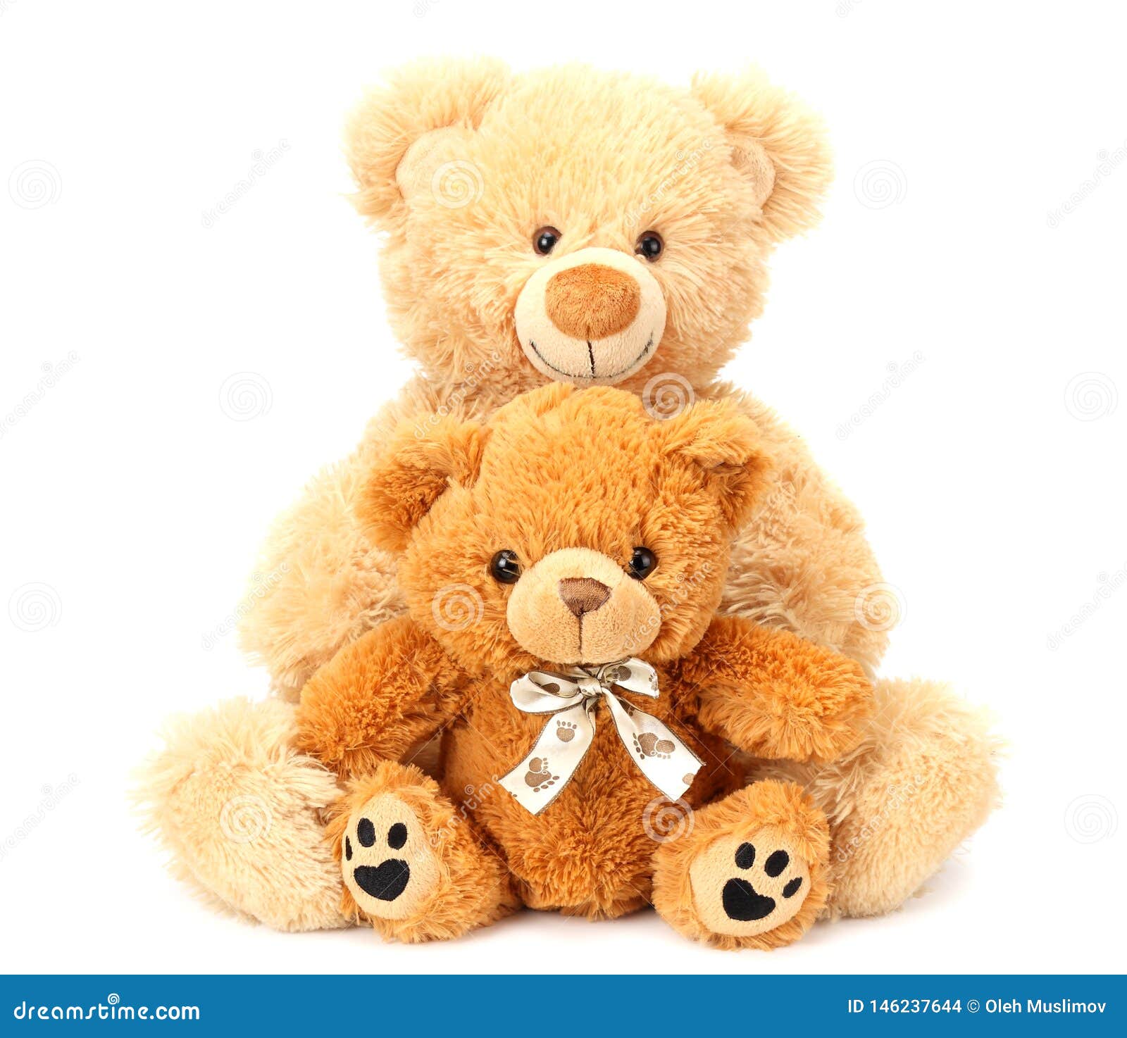 Two Toy Teddy Bears Isolated on White Background Stock Photo - Image of ...
