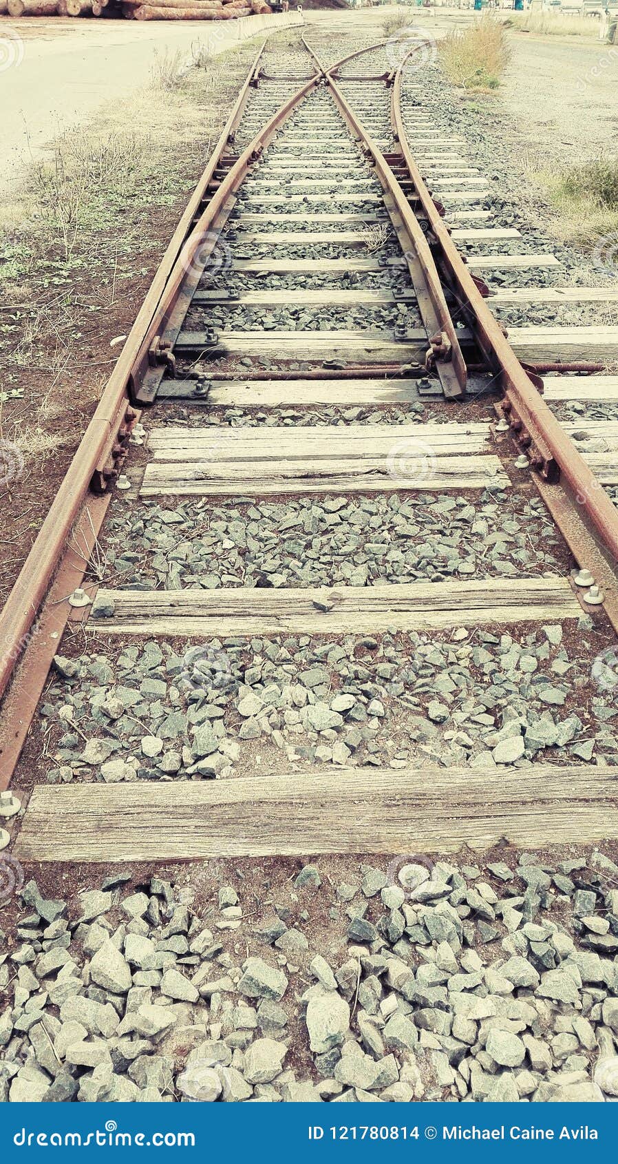 Two tracks stock photo. Image of life, tracks, track - 121780814