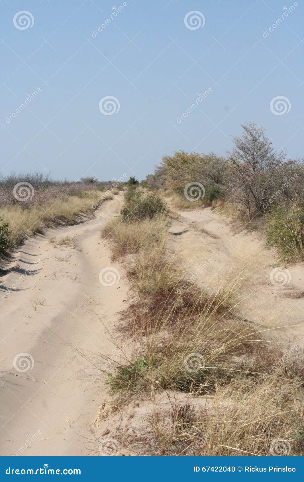 Two track path stock photo. Image of grassy, sand, road - 67422040