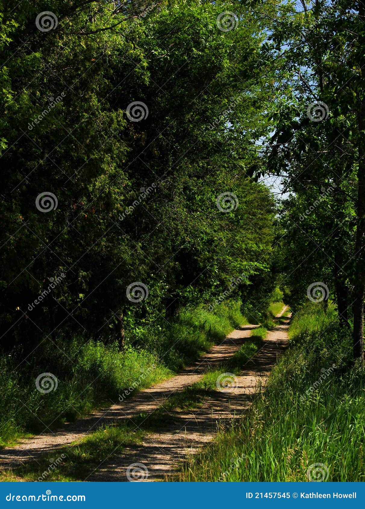 Two Track Road stock image. Image of lane, track, grass - 21457545