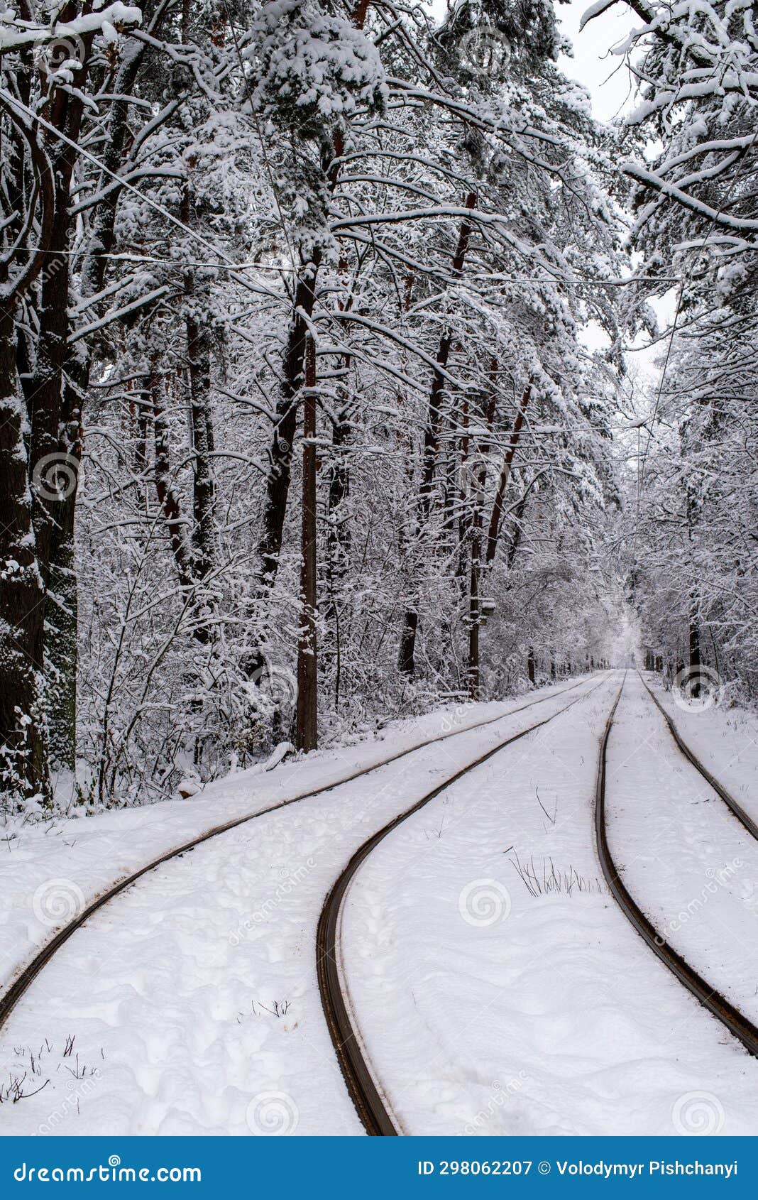 Two Tracks of Rails in a Snowy Forest Stock Image - Image of tramway ...