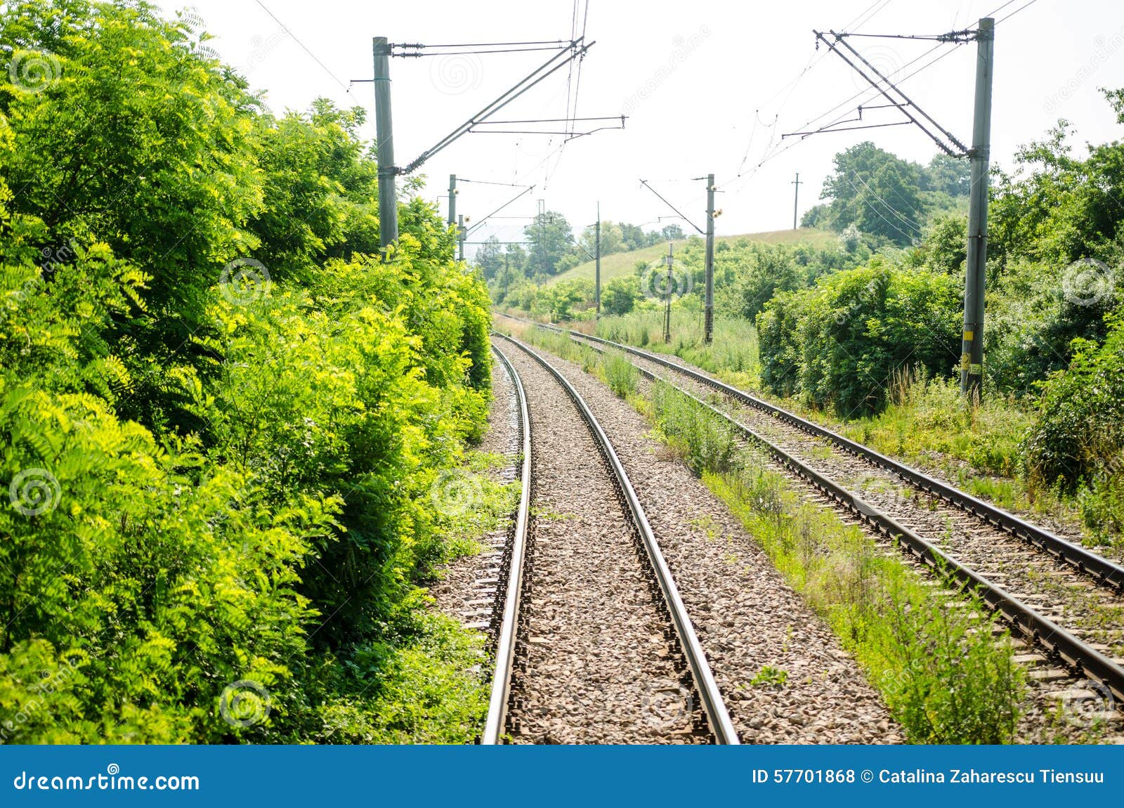 Two Tracks of Railways Passing through Vegetation Zone Stock Photo ...