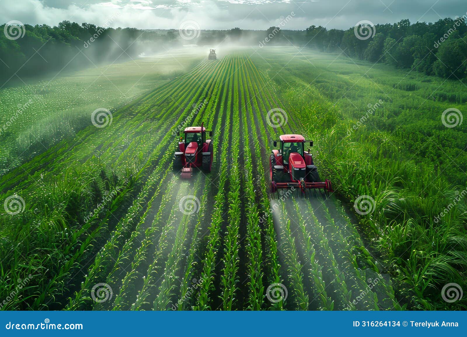 Two Tractors Spraying Large Field. a Two Tractors Working in the Field ...