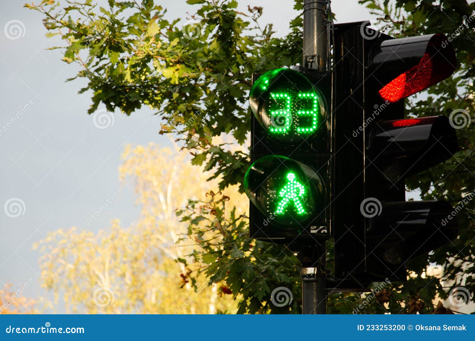 Two Traffic Lights with Red and Green Timer. Countdown Seconds on ...