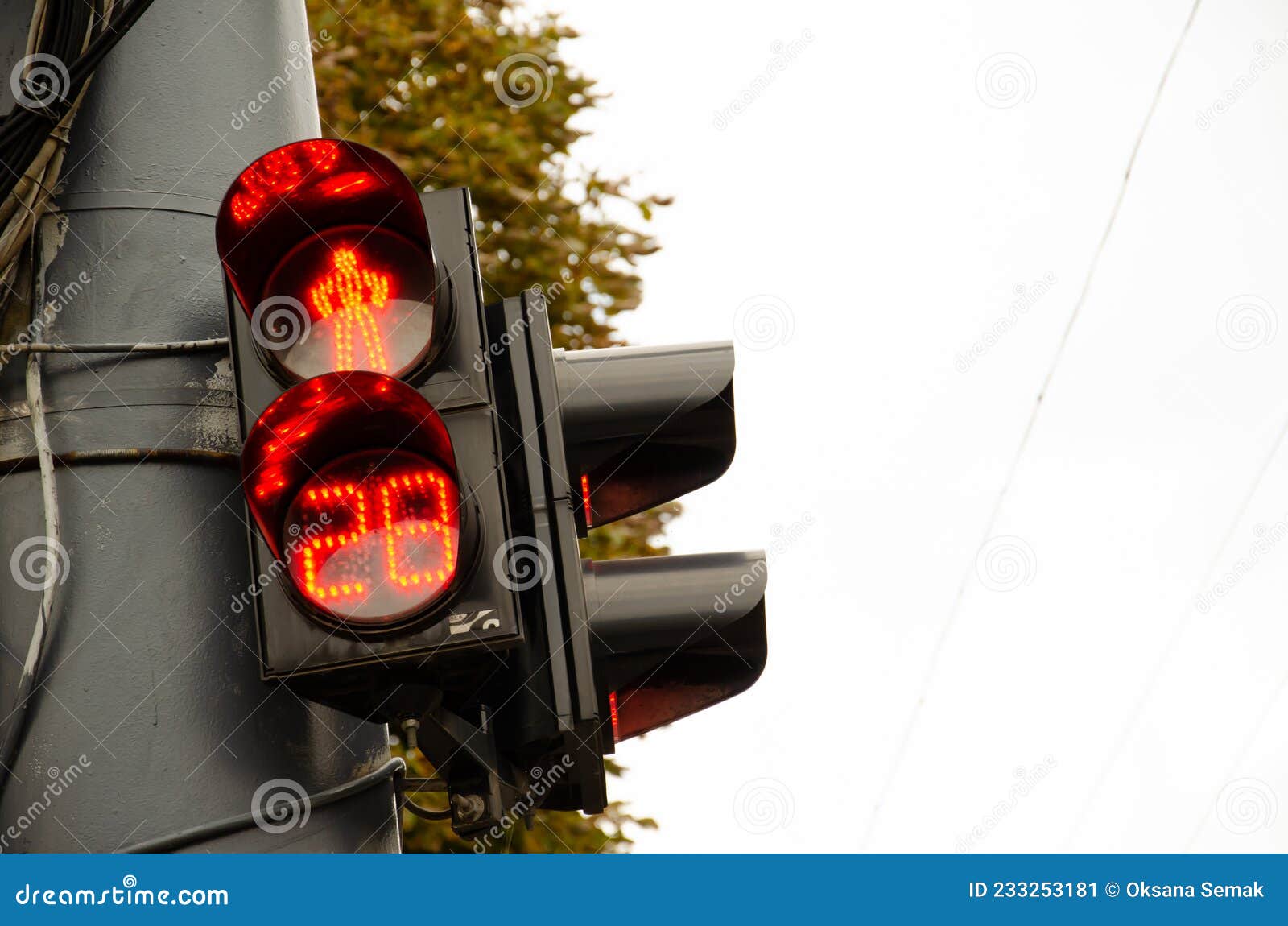 Two Traffic Lights with Red Timer. Countdown Seconds on Pedestrian ...