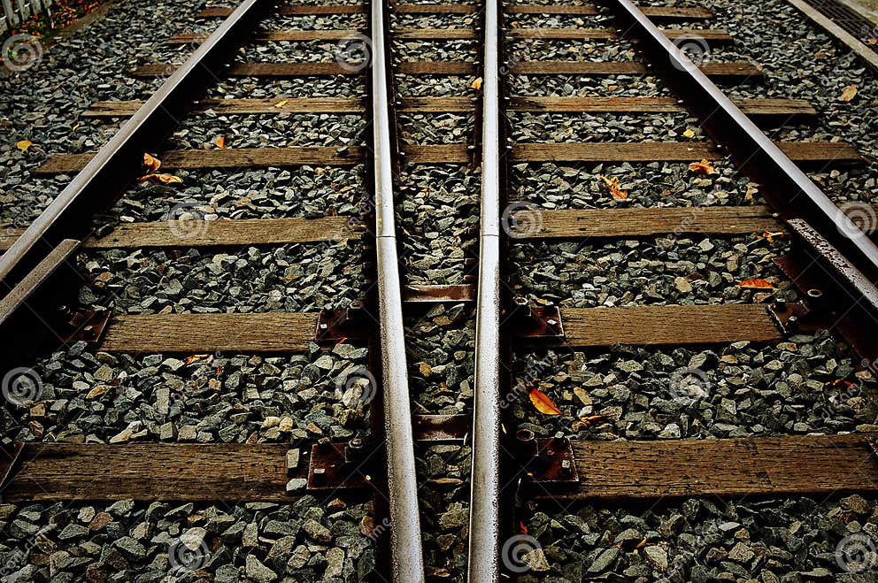 Two Train tracks in autumn stock image. Image of connections - 20581889