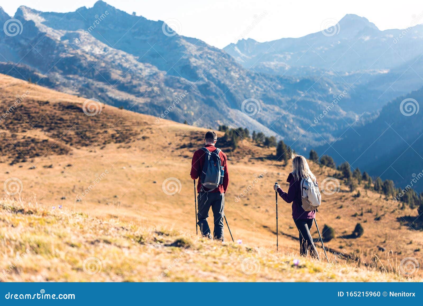Two Travel Hikers with Backpack Walking while Looking the Landscape in ...