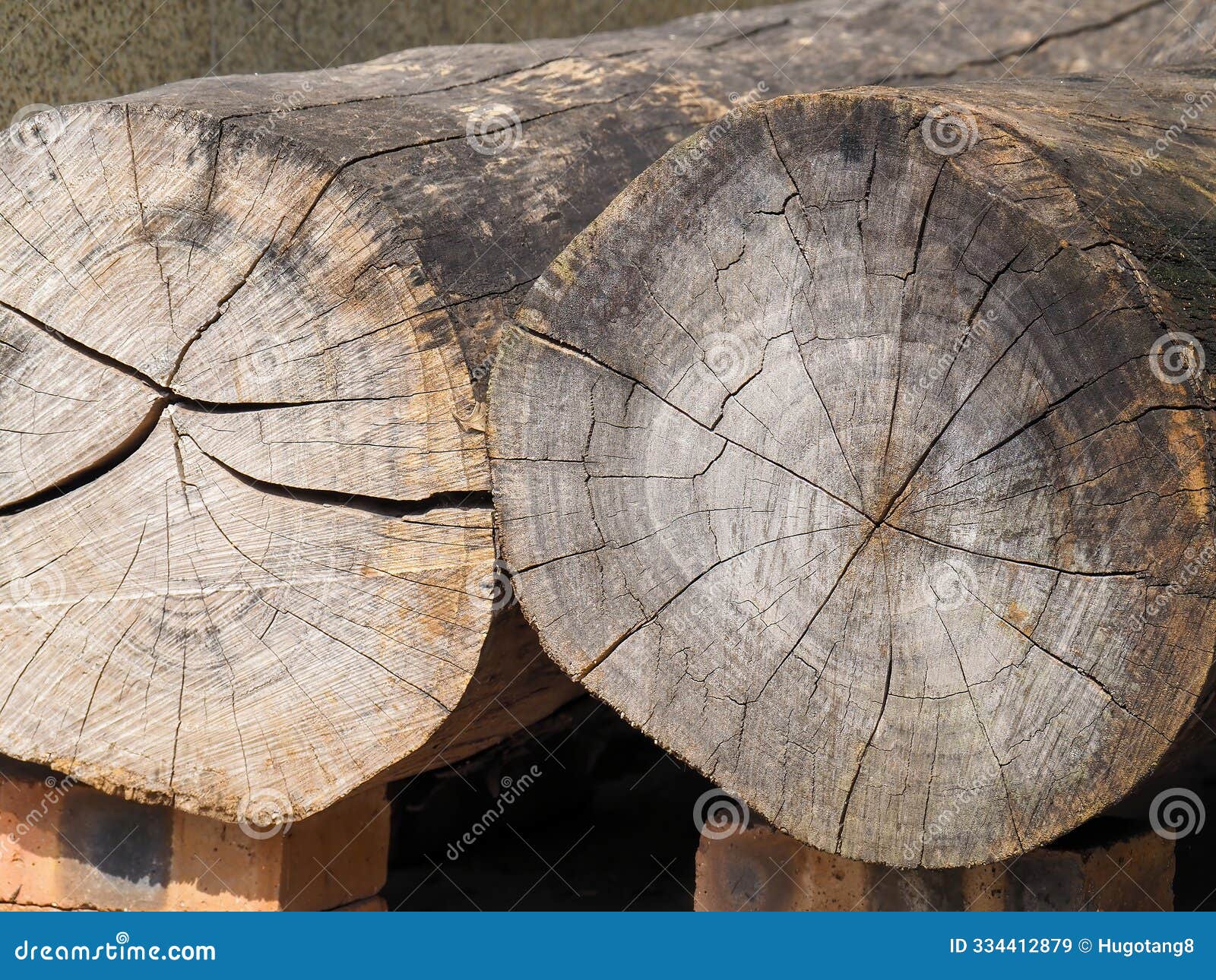 Two Tree Trunks Stacked Next To Each Other Stock Image - Image of bark ...