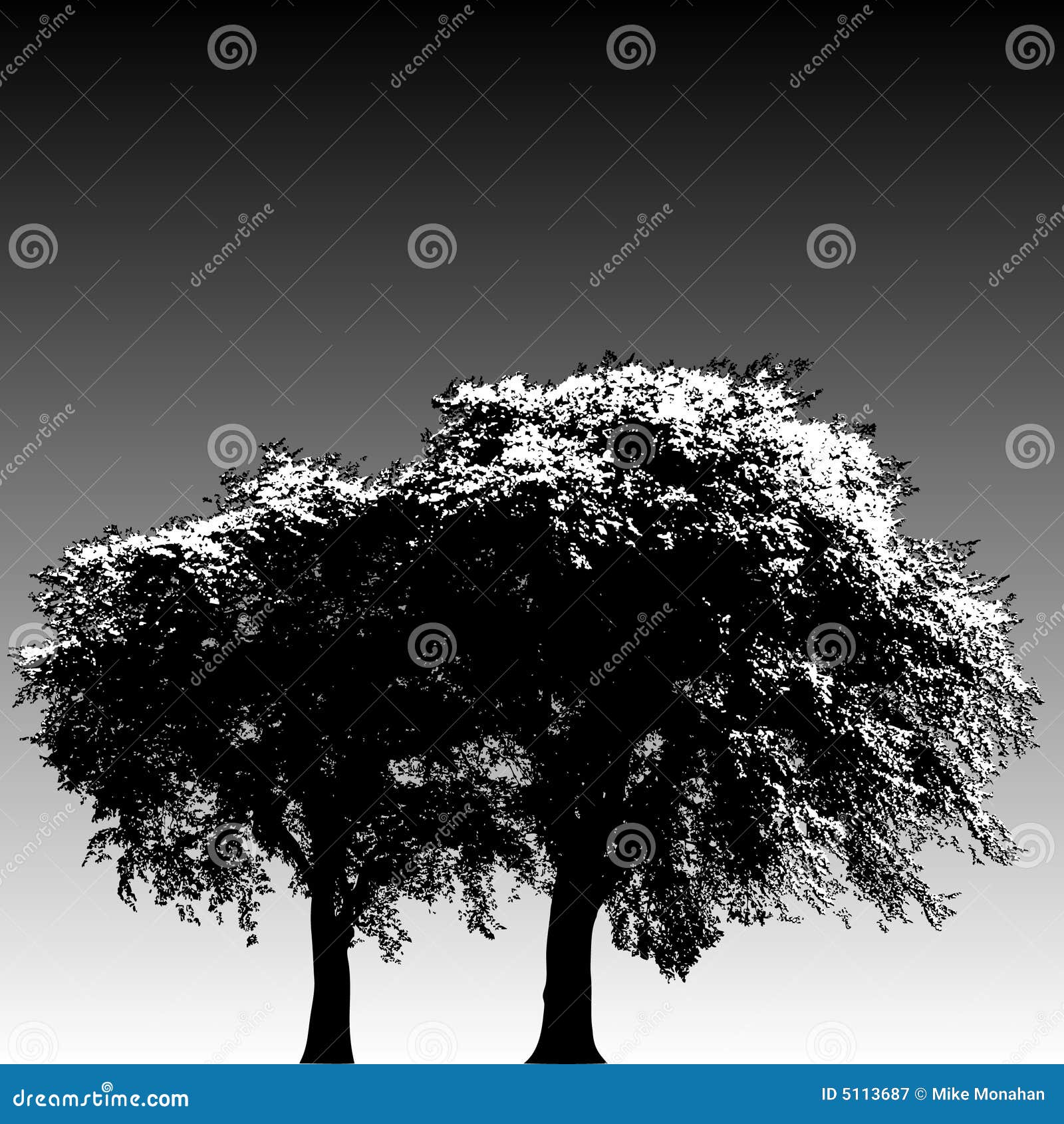 Two trees stock vector. Illustration of natural, trees - 5113687