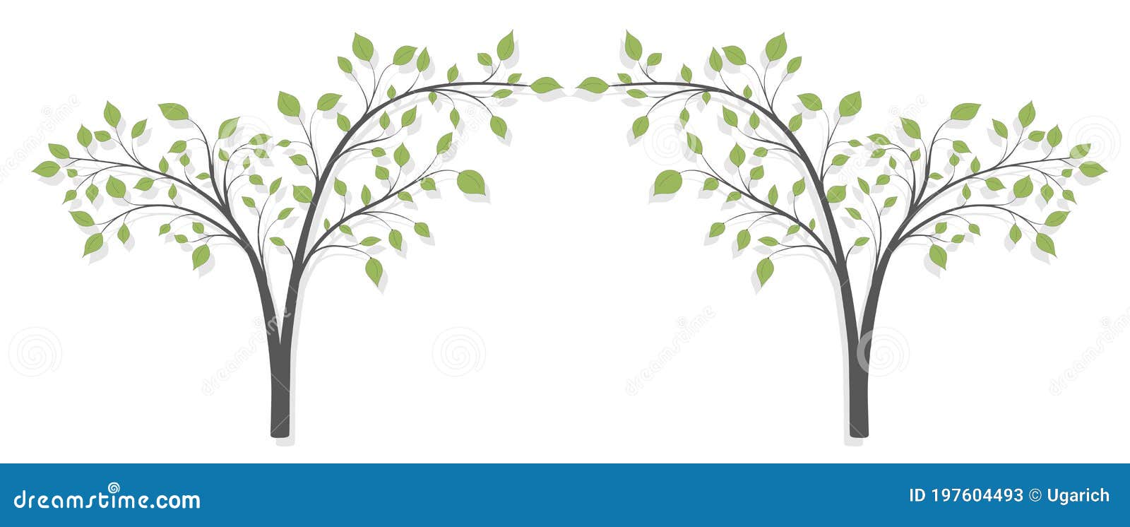 Two Trees with Green Leaves in the Form of an Arch Stock Vector ...
