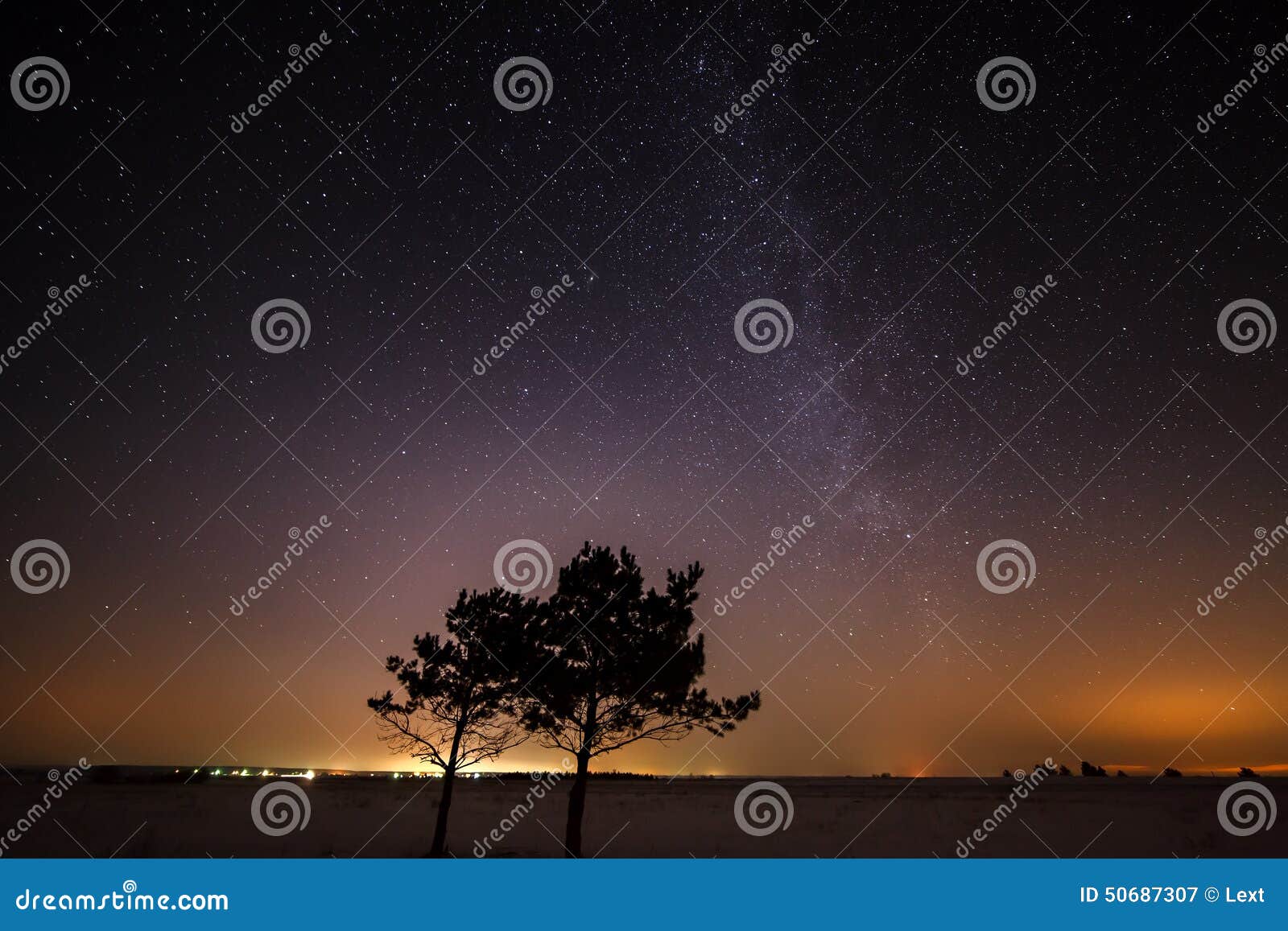 Two Trees are Growing Together on the Background of the Star Stock ...
