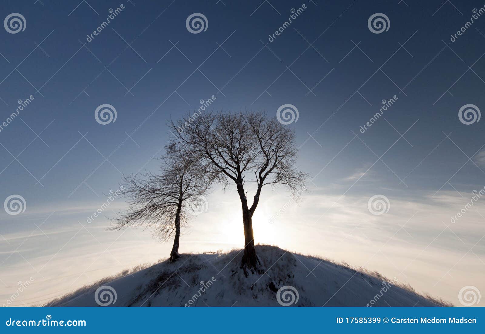 Two Trees on Hill stock image. Image of branch, lights - 17585399