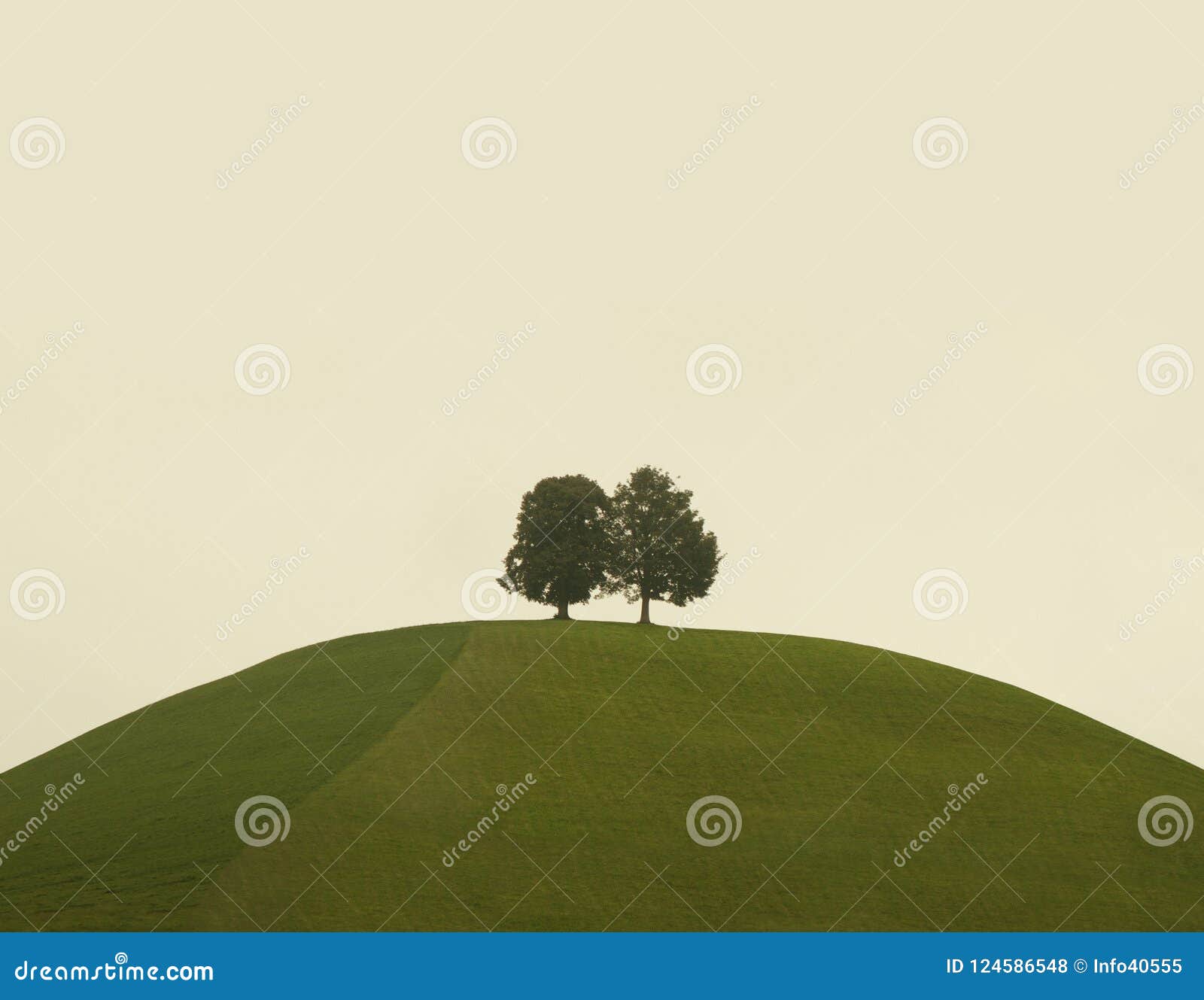 Two trees on a hilltop stock photo. Image of love, simple - 124586548