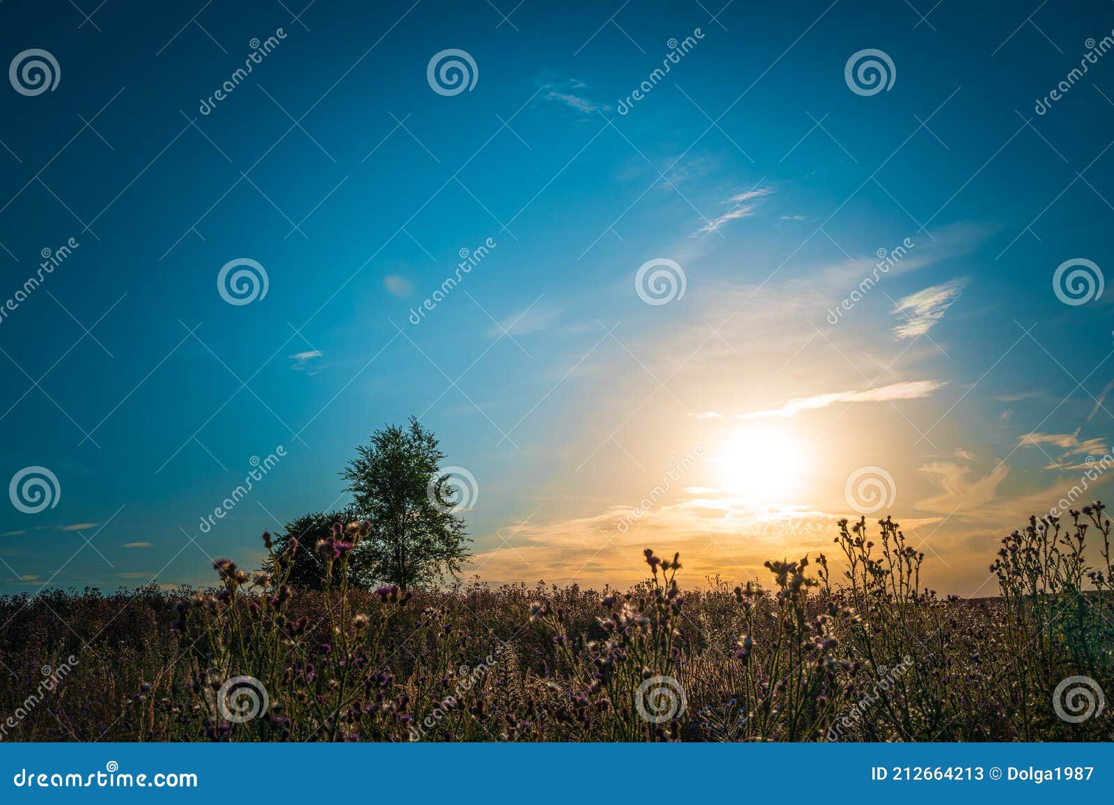 Two Trees on the Horizon with the Setting Sun. Horizontal Orientation ...