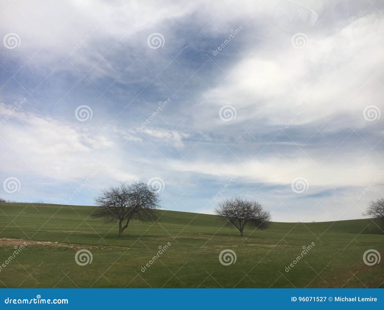 Two Trees stock image. Image of landscape, trees, grass - 96071527