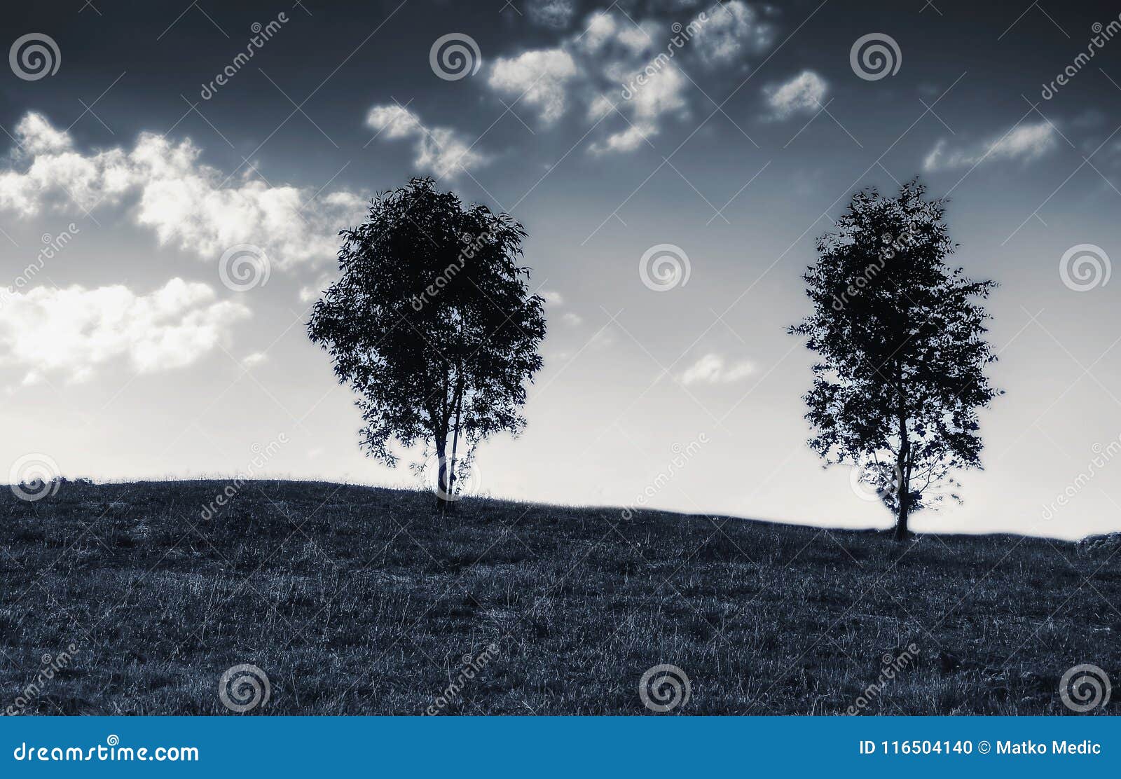 Two Trees on Top of the Hill Stock Photo - Image of mystic, beautiful ...