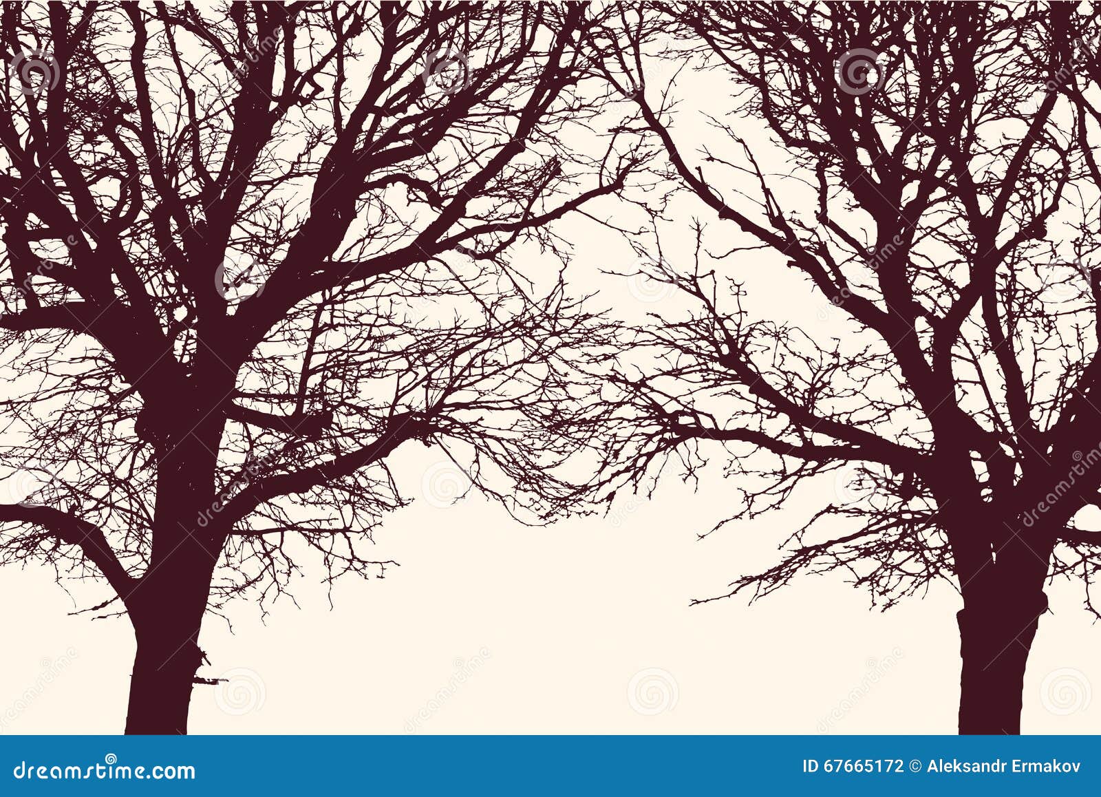 Two trees stock vector. Illustration of branches, outdoors - 67665172