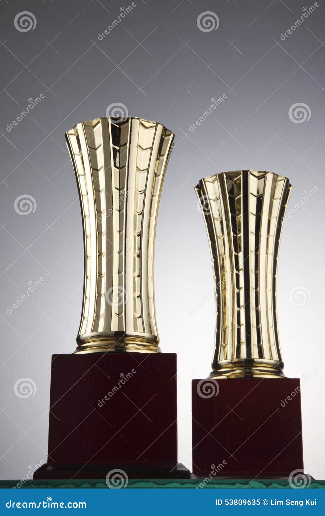 Two trophies stock image. Image of victory, achievement - 53809635