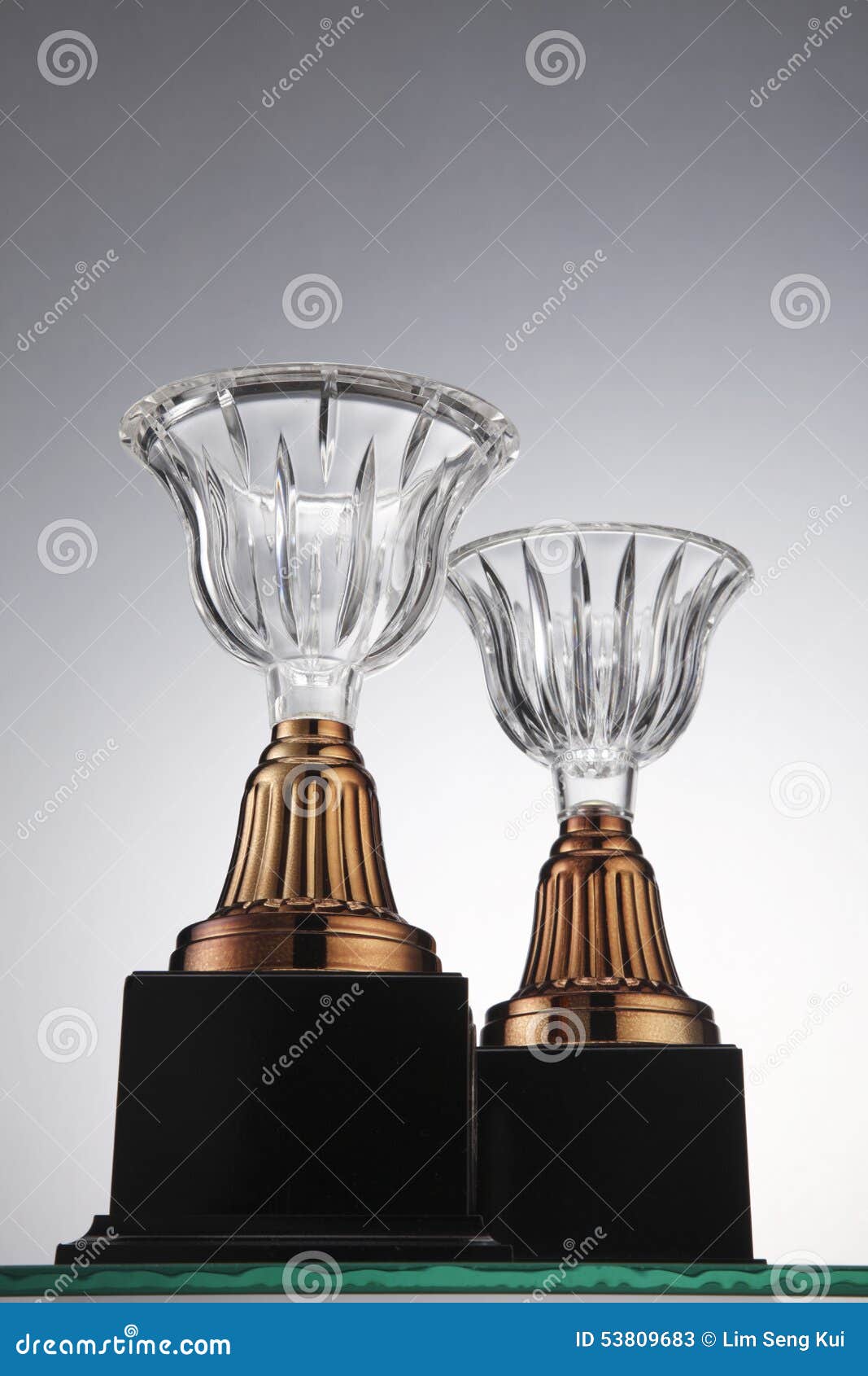 Two trophies stock image. Image of honor, studio, success - 53809683