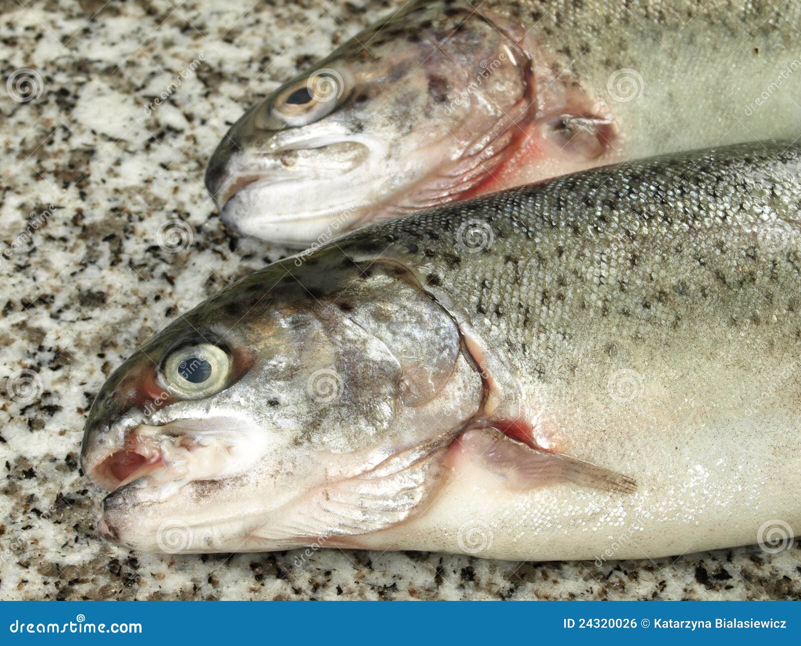 Two trouts, closeup stock photo. Image of pepper, closeup - 24320026