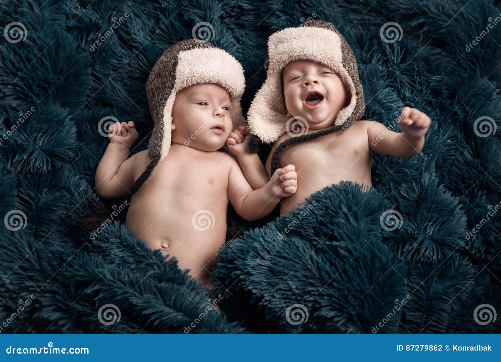Two Twins Laying on the Soft Fluffy Blanket Stock Photo - Image of ...