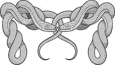 Two Twisted Snakes. Decorative Element Stock Vector - Illustration of ...