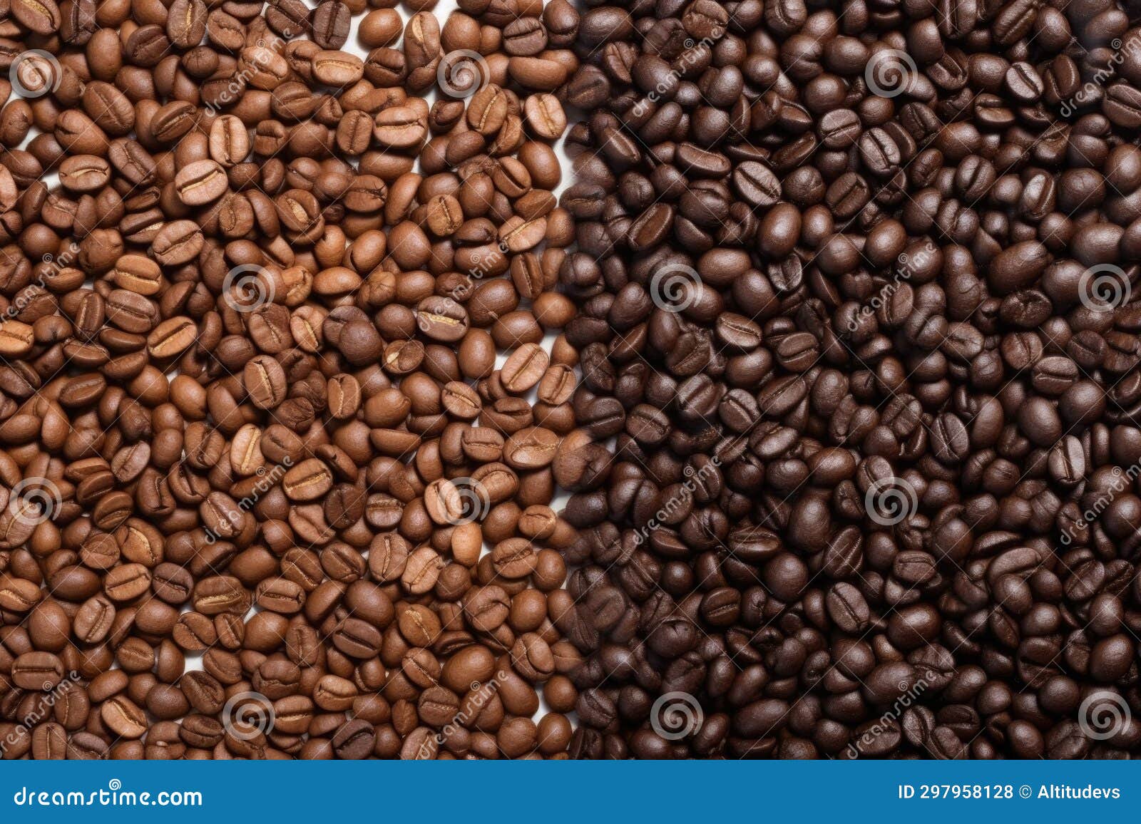 Two Types of Coffee Beans in Different Shapes and Shades Stock Photo ...