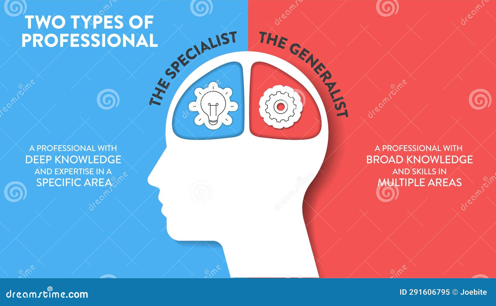 Two Types of Professional Model Framework Infographic Diagram with Icon ...
