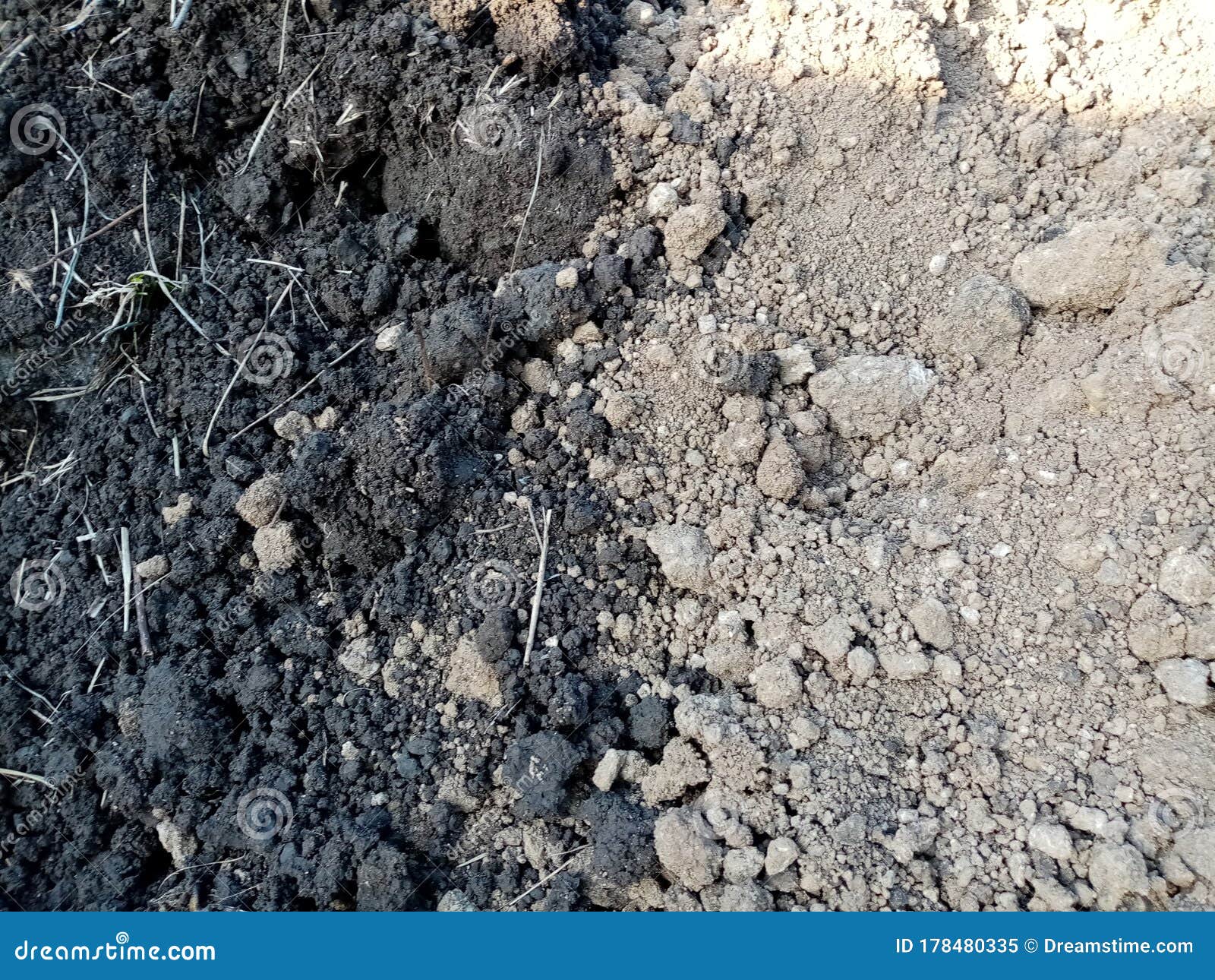 Two Types of Soil with Different Colors and Structures Stock Image ...