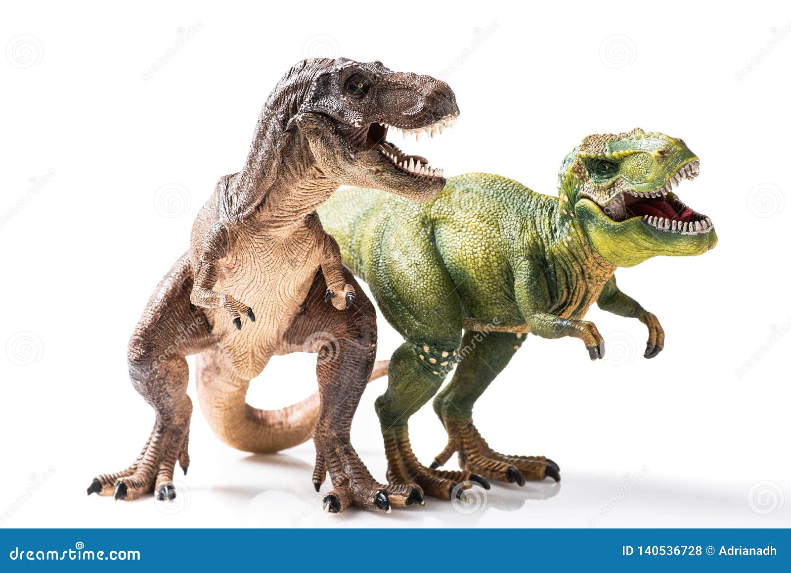 Two Tyrannosaurus Rex Figurines On White Royalty-Free Stock Image ...