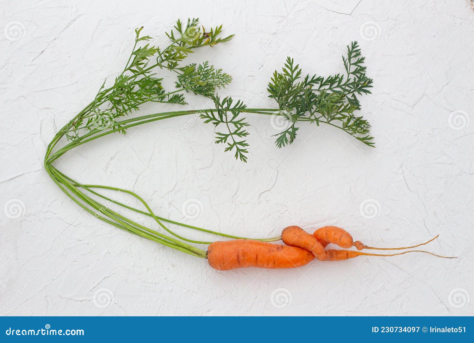 Deformed Carrot With Unusual Shape That Looks Like Human On A Plate ...