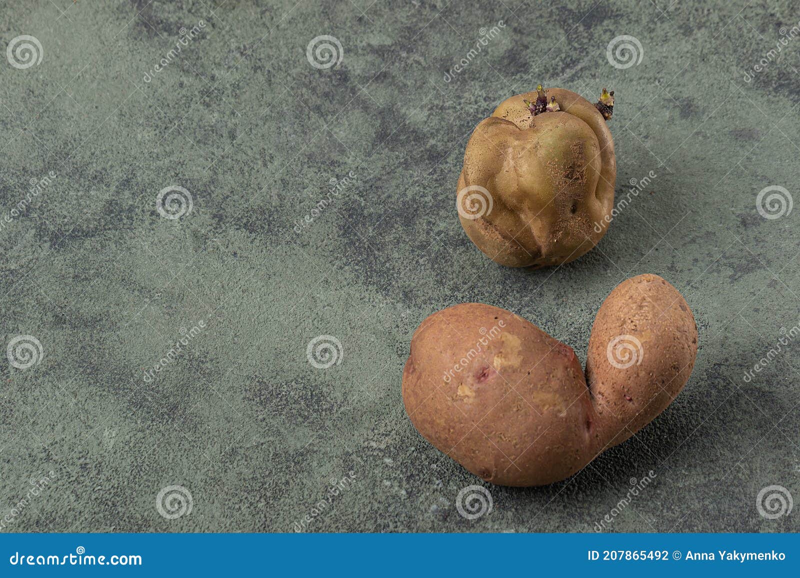 Two Ugly Potatoes on a Dark Background. Funny Vegetables Stock Photo ...
